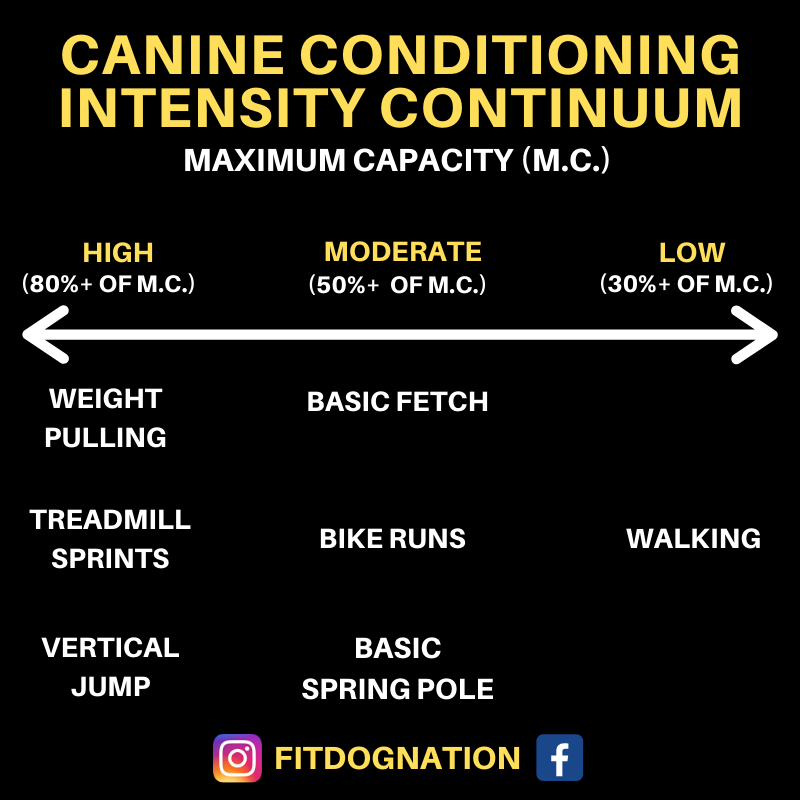Dog Exercise - Intensity as a key variable for Canine Conditioning ...